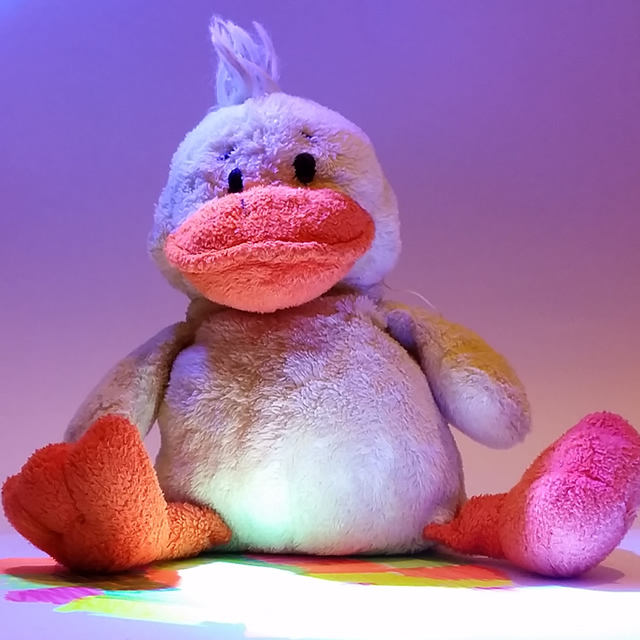 ducky | Lightwaves